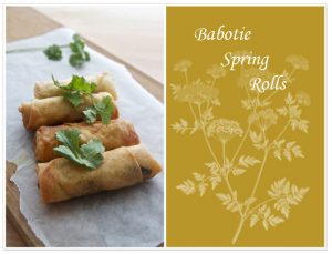 Babotie Spring Rolls – Shades of Cinnamon