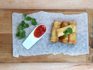 Babotie Spring Rolls – Shades of Cinnamon